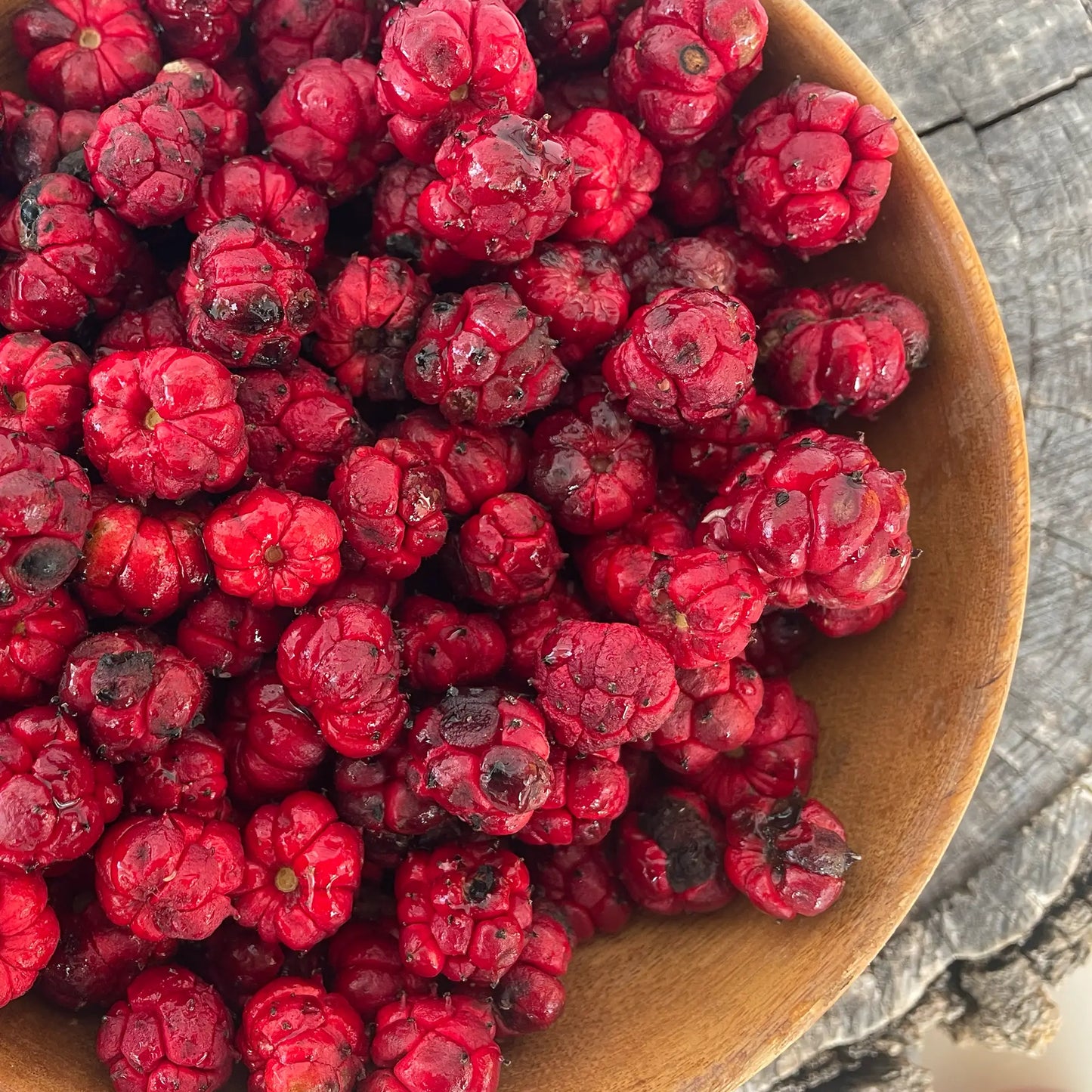 Hydraste du Canada Hydrastis canadensis – La Vivacière